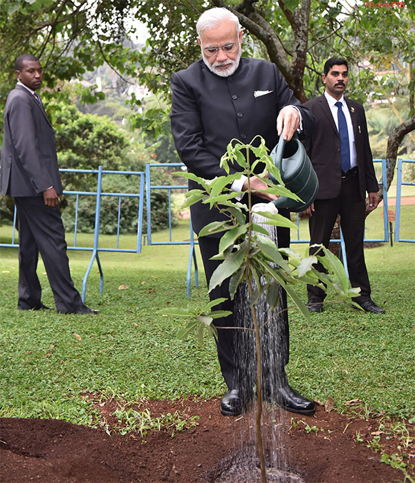 PM Modi planting a sapling next to the Mahatma Gandhi